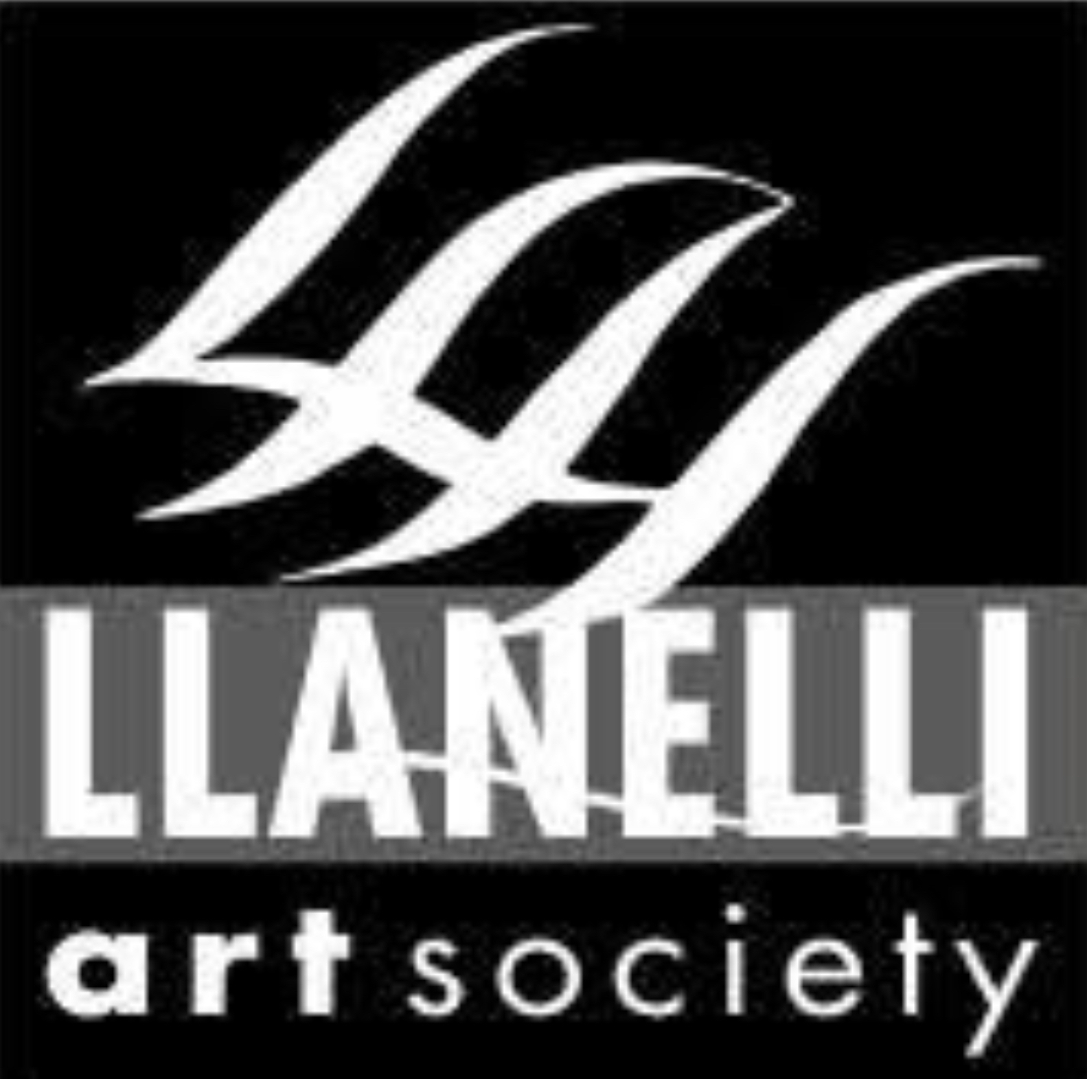 Our committee – Llanelli Art Society